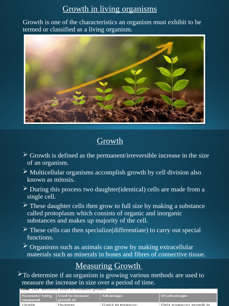 Understanding Growth in Organisms | PDF | Seed | Embryo
