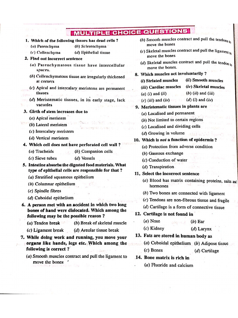 Class 9th Tissue MCQ | PDF