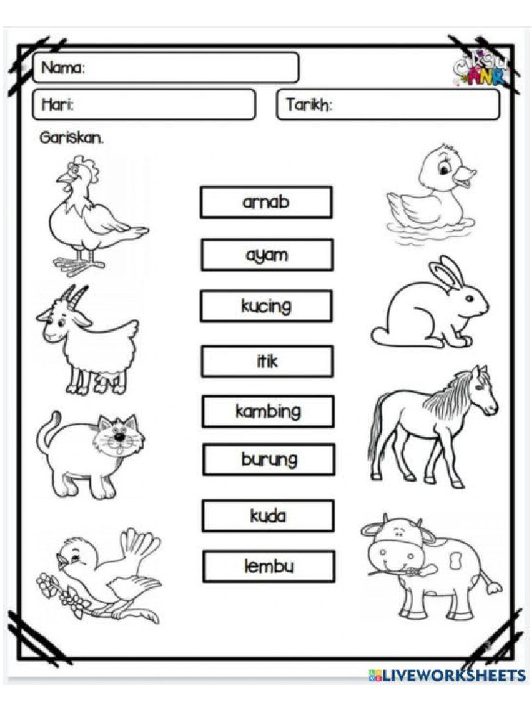 Mari Mengenal Haiwan | PDF