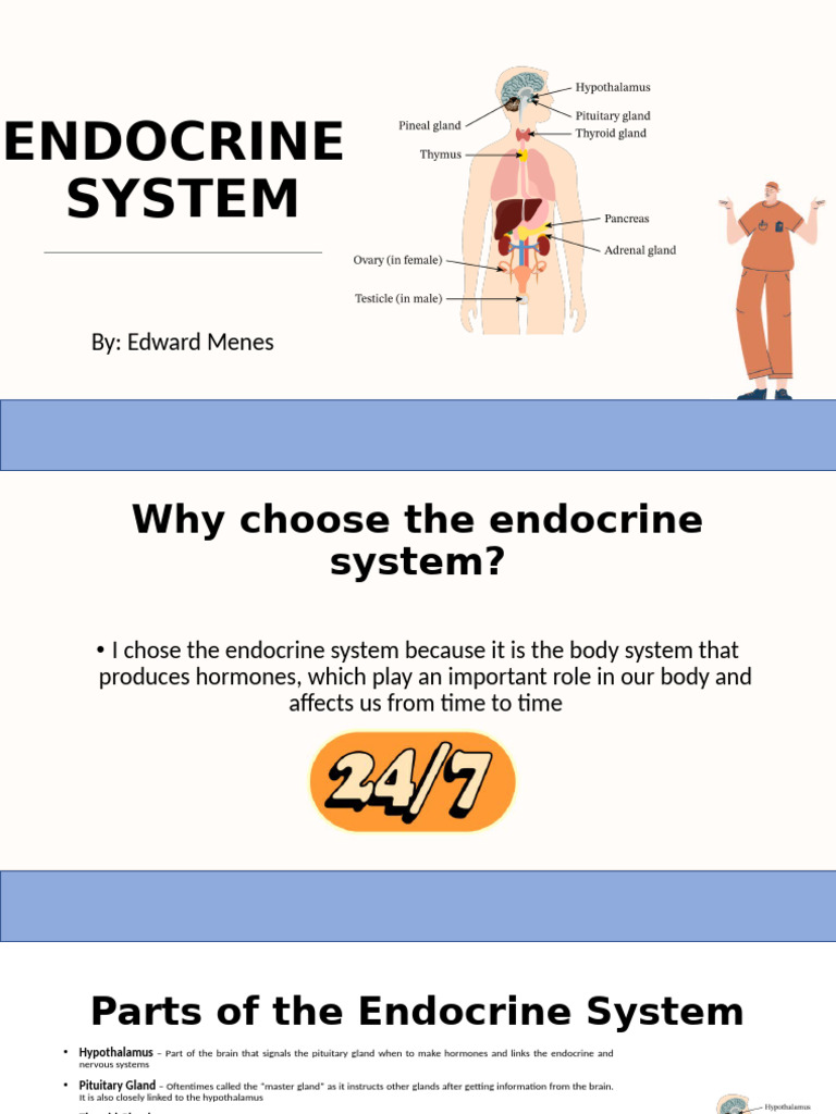 Overview of the Endocrine System | PDF