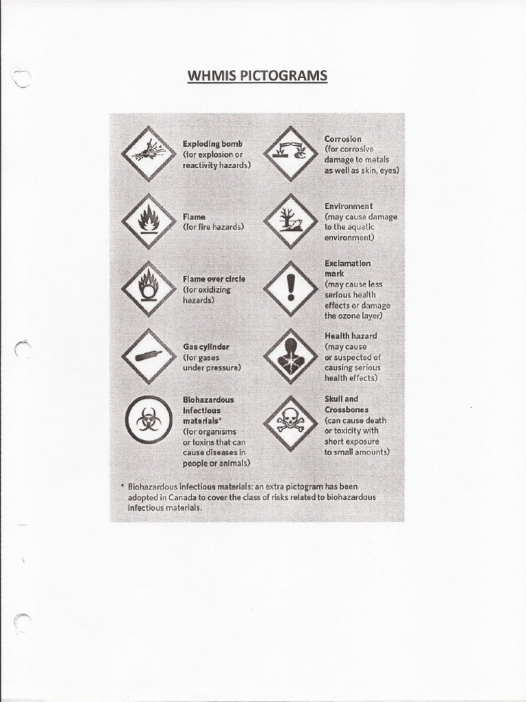 WHMIS Pictograms Handout | PDF