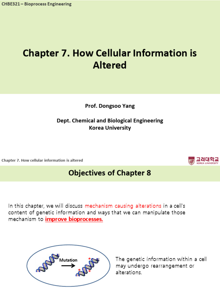 Chapter 7. How Cellular Information Is Altered (Part 1) | PDF | Mutation | Evolution