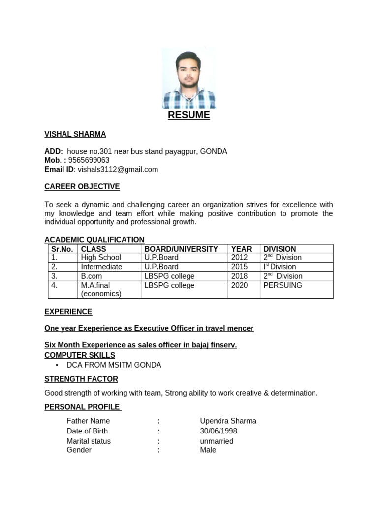 Vishal Resume | PDF
