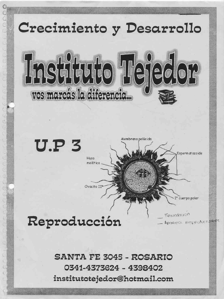 up3 | PDF | Histología | Anatomía