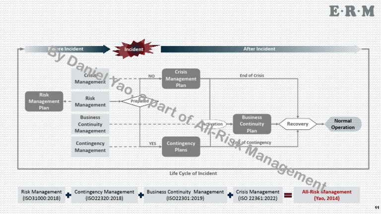 ARM Process with ISO | PDF
