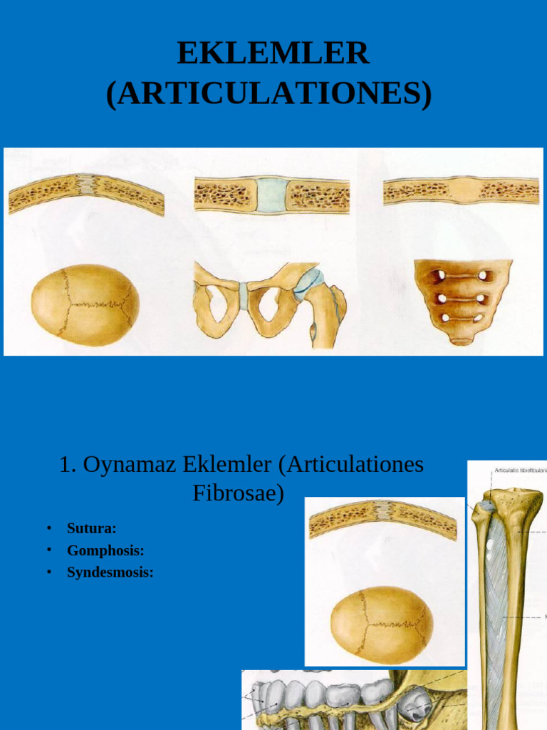 DHF 103 B-3 Eklemler 2 | PDF