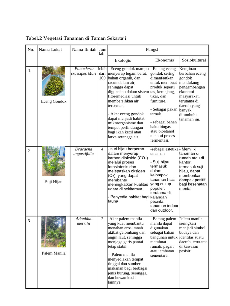 Vegetasi Tanaman Remed | PDF