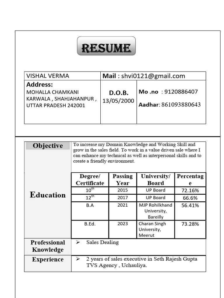 Vishal Resume | PDF