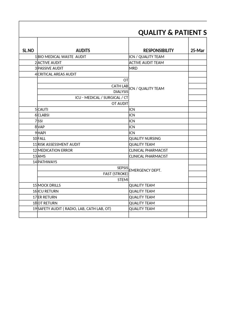 Monthly Audit Quality | PDF