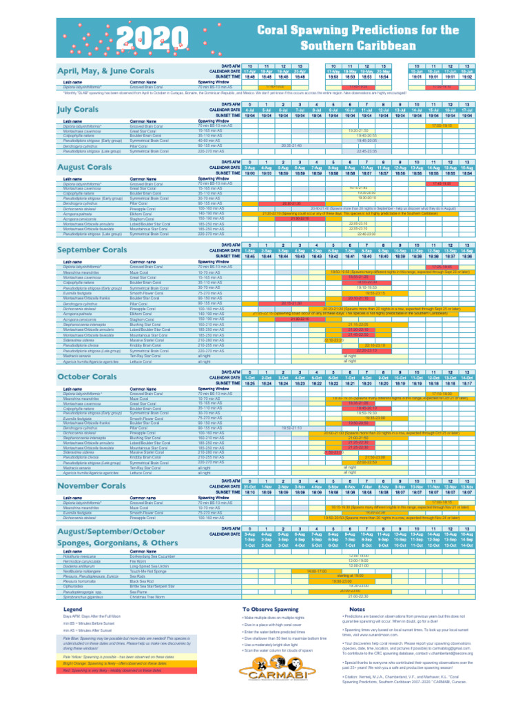 Coral Spawning Calendar 2020 Guide | PDF
