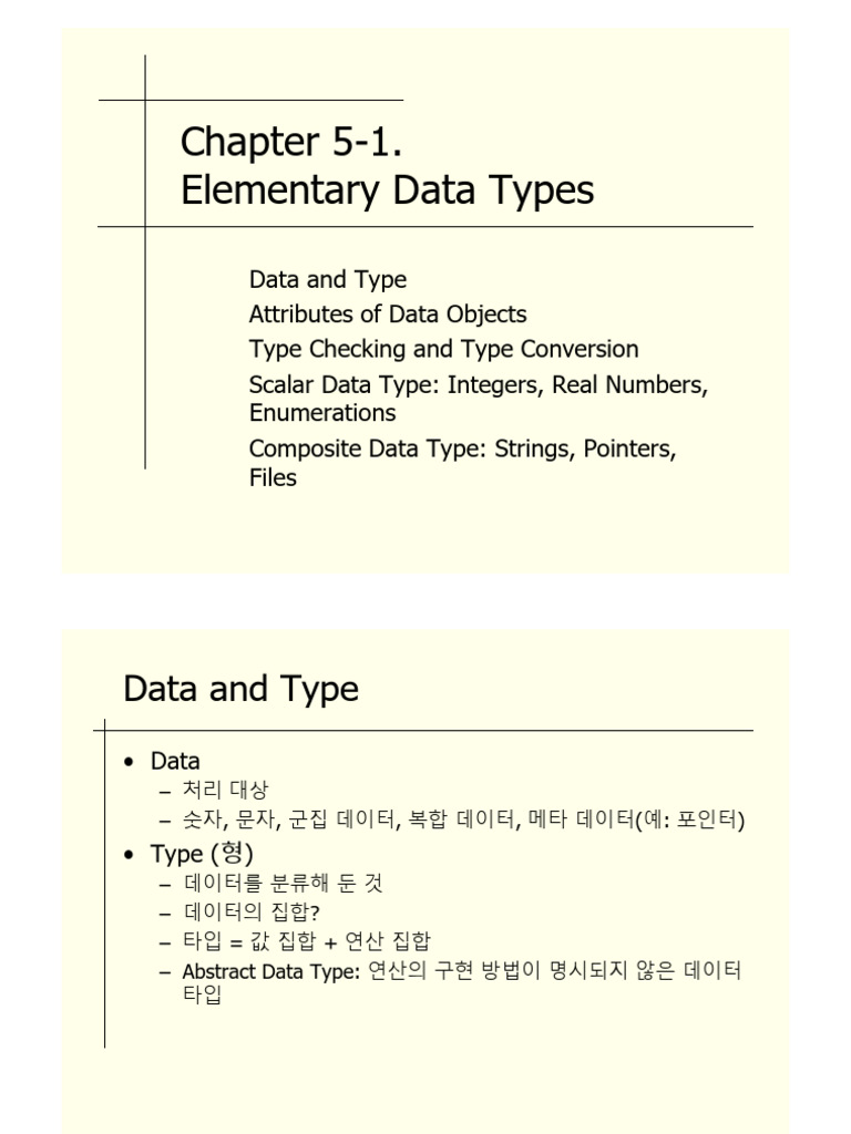 05 Elementary DataTypes | PDF