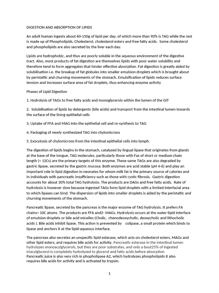 Digestion and Absorption of Lipid 2 | PDF | Digestion | Lipid