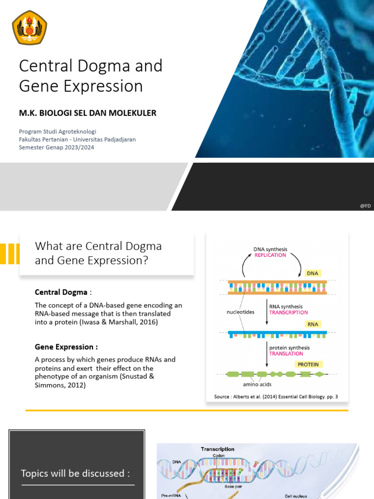 Mini Lecture - Central Dogma and Gene Expression | PDF | Regulation Of ...