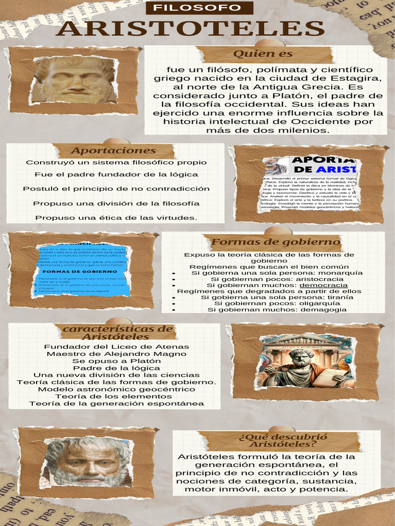 Infografía Cronológica Línea de Tiempo Historia Sencilla Collage Café ...