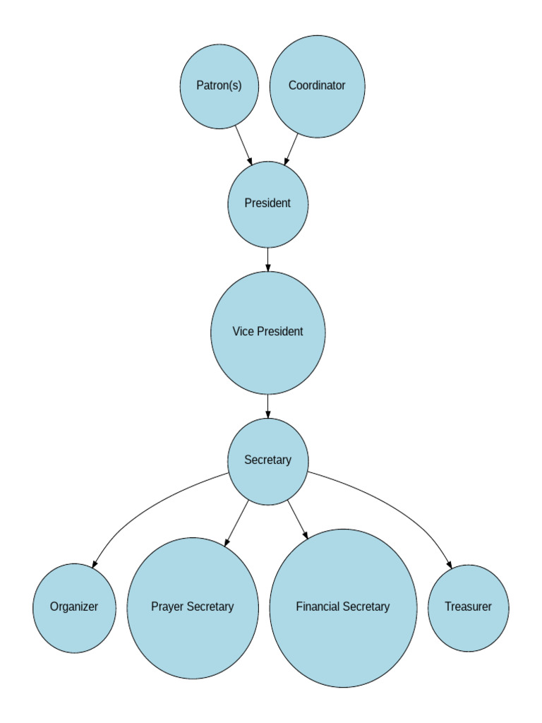 Leadership Roles Overview | PDF