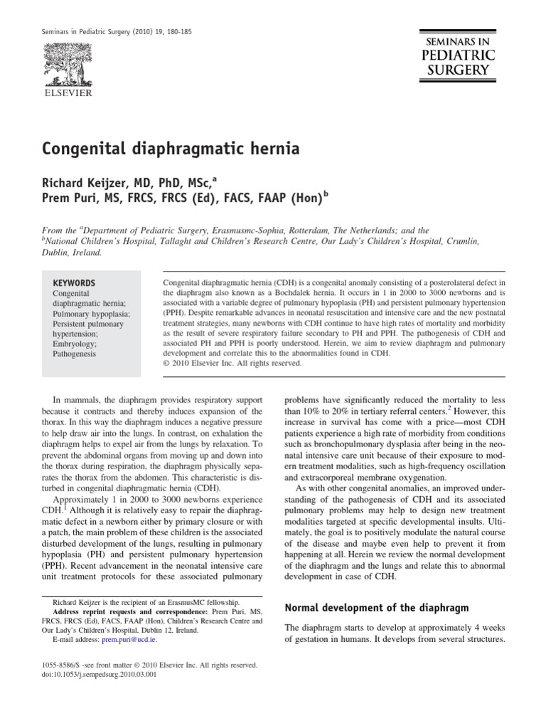 2010 Sem in Ped Surgery - Review | PDF | Lung | Anatomy