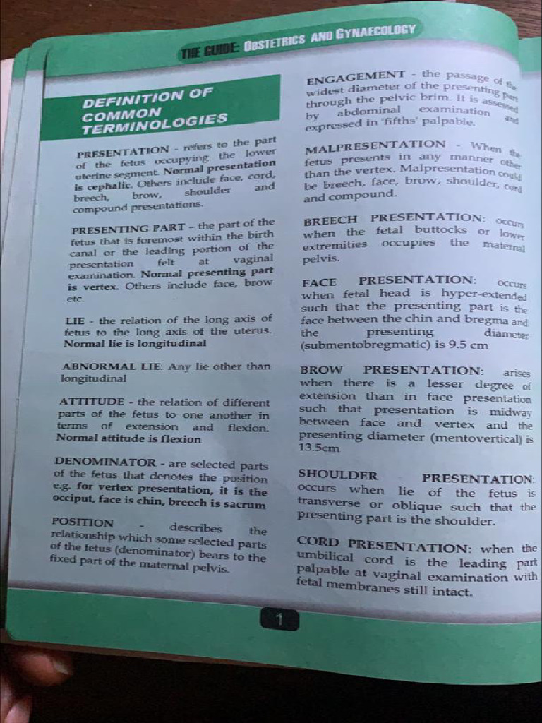 The Guide Ob&Gyn | PDF