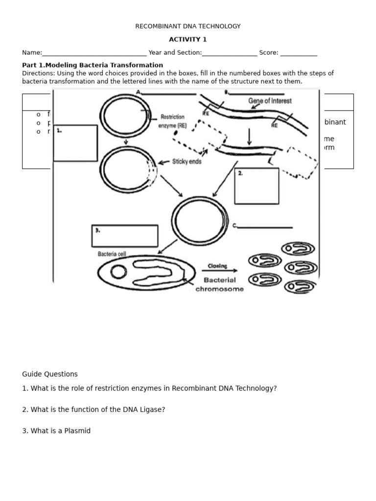 Understanding Bacteria Transformation Steps | PDF | Molecular Cloning ...