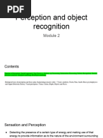 Gregory's Constructivist Perception Theory | PDF | Perception | Experience