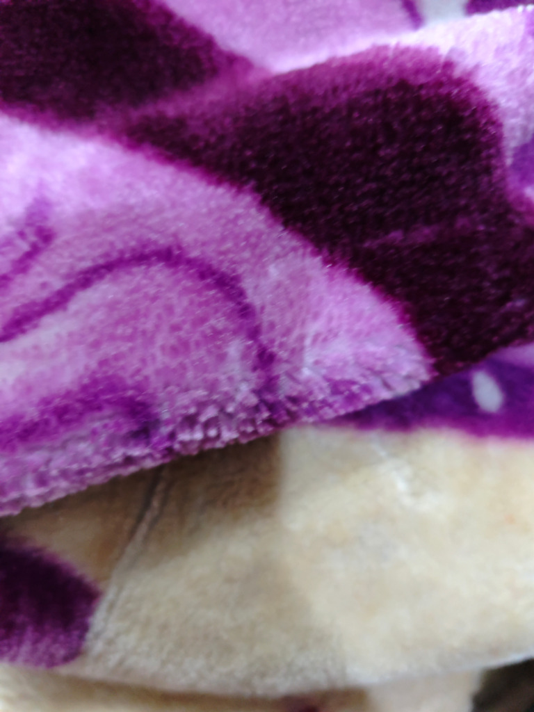 Picsart - 25 03 04 - 12 42 45 446 | PDF