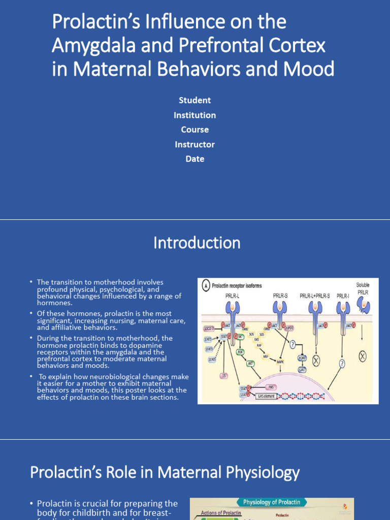 Prolactin’s Influence on the Amygdala and Prefrontal Cortex | PDF ...