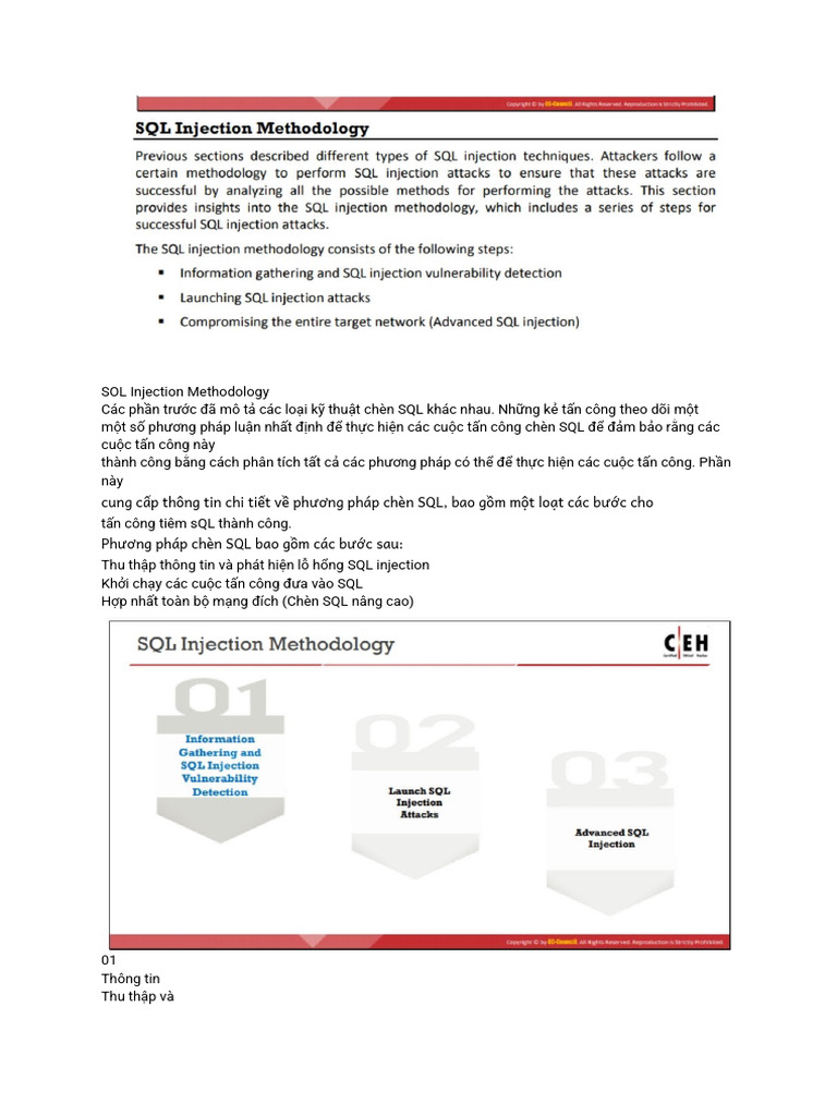 SOL Injection Vethodology | PDF
