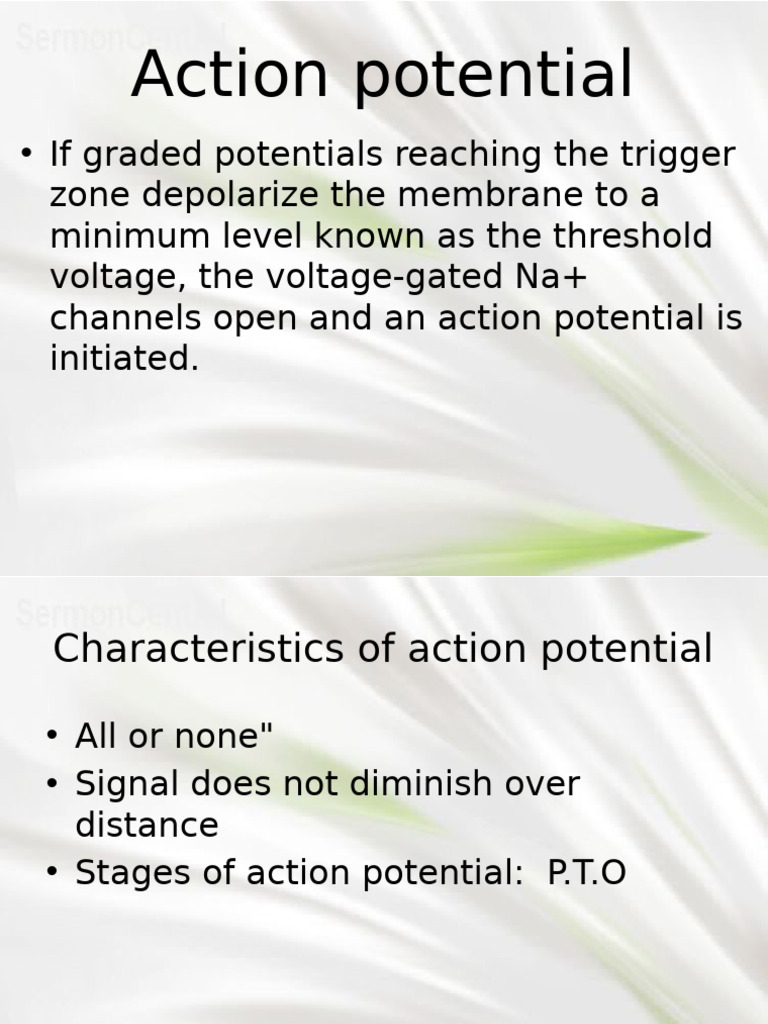 Action potential | PDF | Action Potential | Depolarization