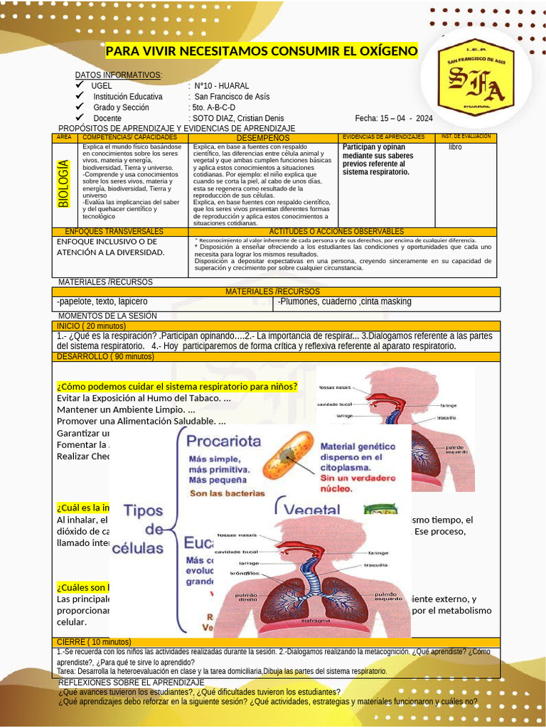 SESIÓN 5 -BIOLOGÍA | PDF | Sistema respiratorio | Respiración