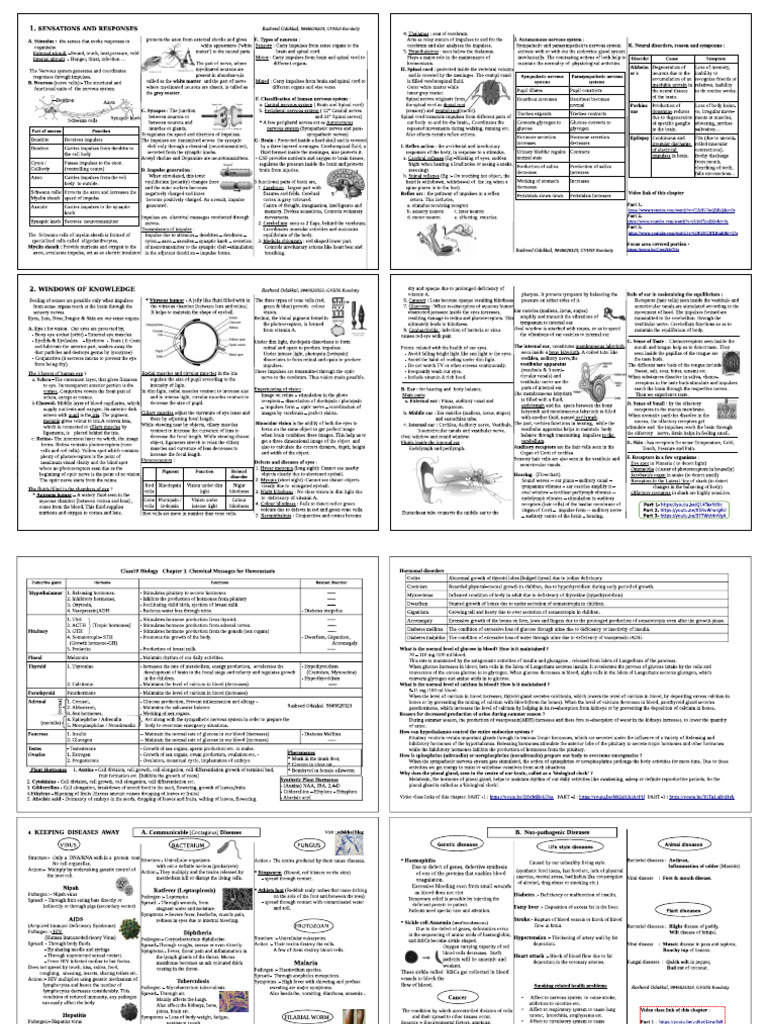 12345667 | PDF