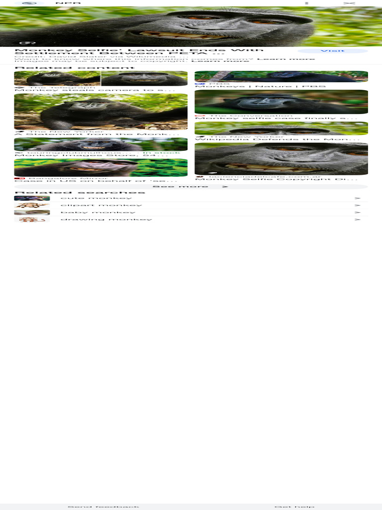 Monkey - Google Search | PDF