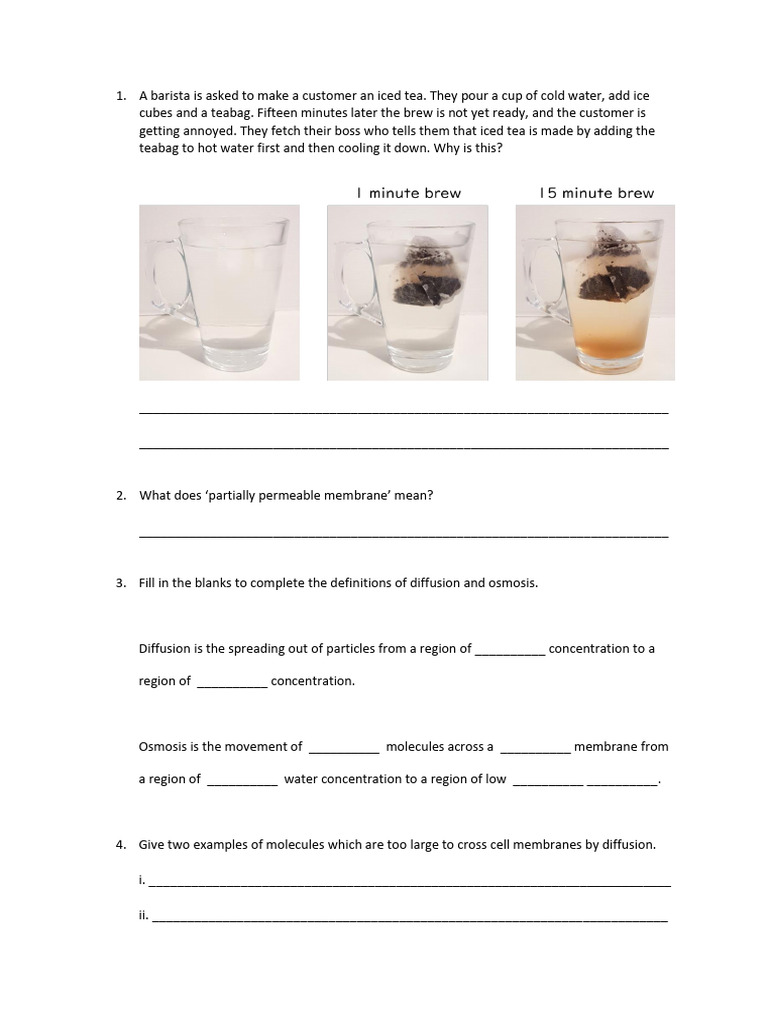 Diffusion and Osmosis Worksheet | PDF