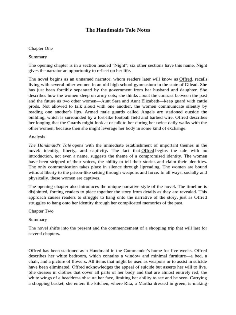 The Handmaid's Tale Chapter Summaries | PDF