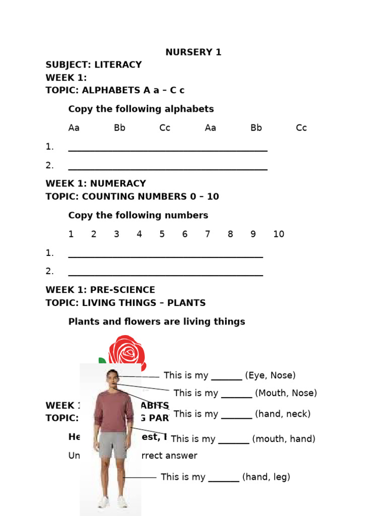 NURSERY 1 COMPLETE | PDF