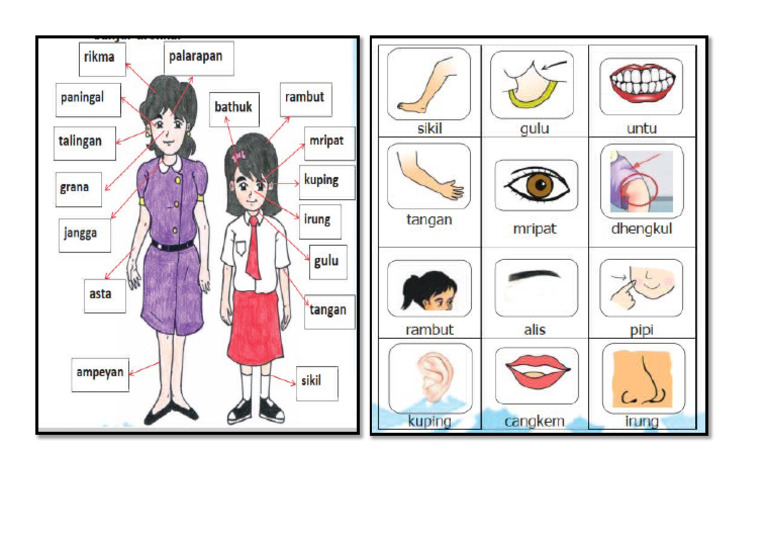 Basa Jawa Perangan Awak | PDF