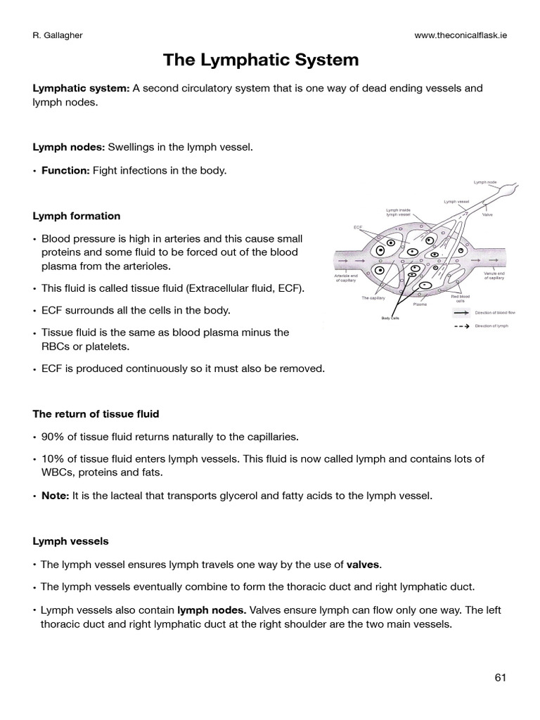The Lymphatic System | PDF