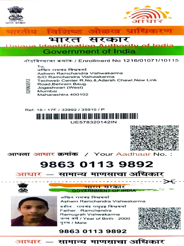 Aadhaar Card Details for Ashwin Vishwakarma | PDF