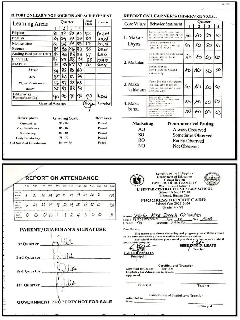 Card Mike | PDF