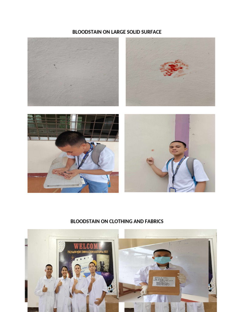 Bloodstained Evidence | PDF