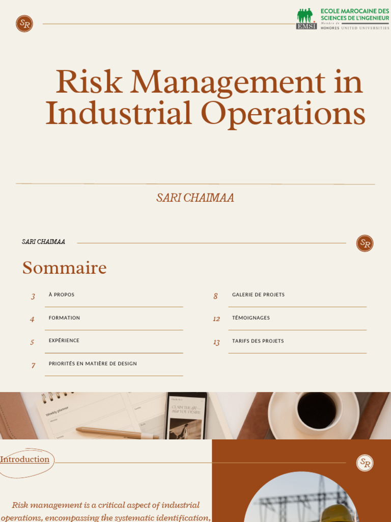 Industrial Risk Management Overview | PDF