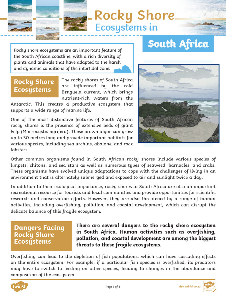 South Africa's Rocky Shore Ecosystems | PDF | Coast | Ecosystem