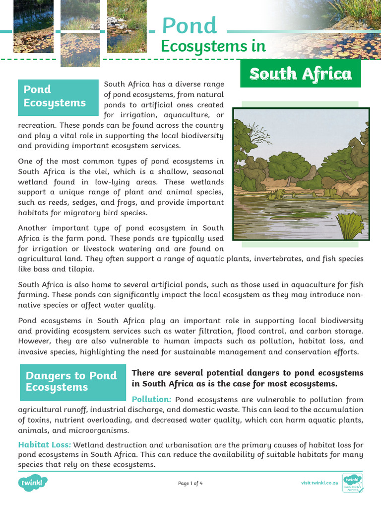 Za NST 1676629118 Pond Ecosystems in South Africa - Ver - 1 | PDF | Pond | Wetland