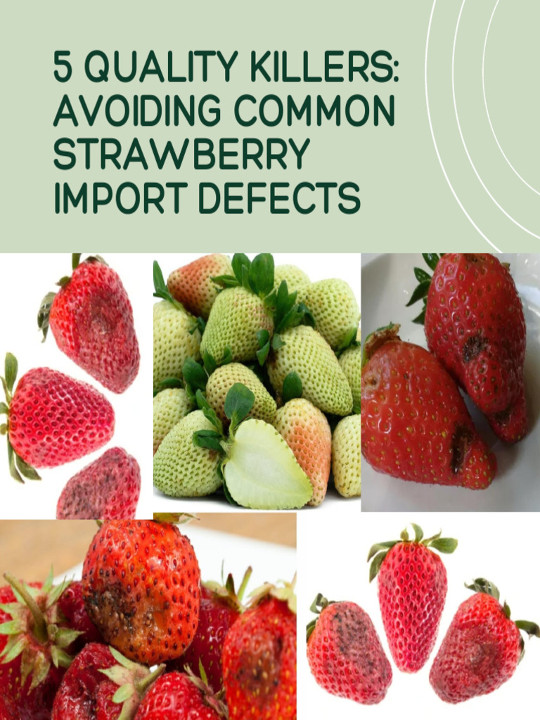 Strawberry Import Defects | PDF