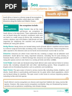 ORI Fish Fact Sheet Geelbek | PDF | Spawn (Biology) | Fish