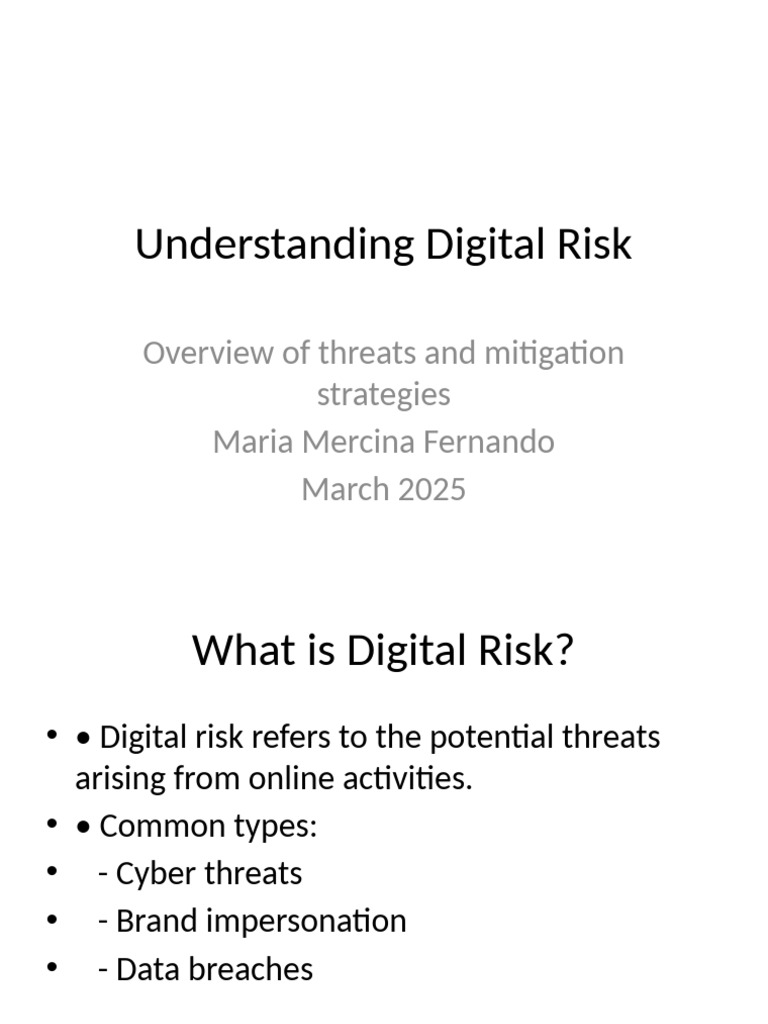 Digital Risk Presentation | PDF