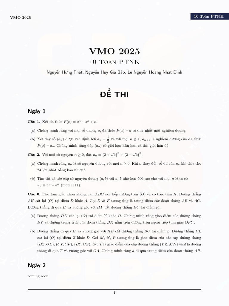 Vmo 2025 | PDF