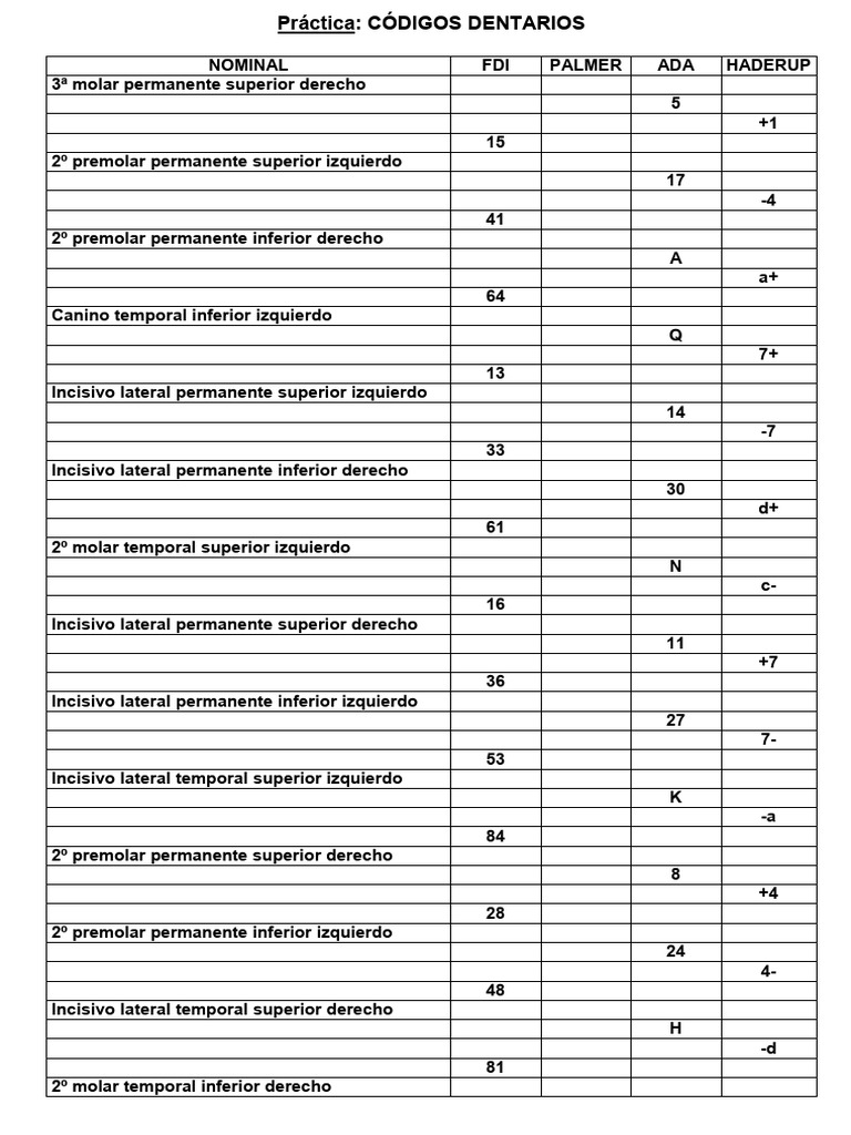 Practica 2 - Codigos - Dentarios | PDF | Anatomia dental | Diente