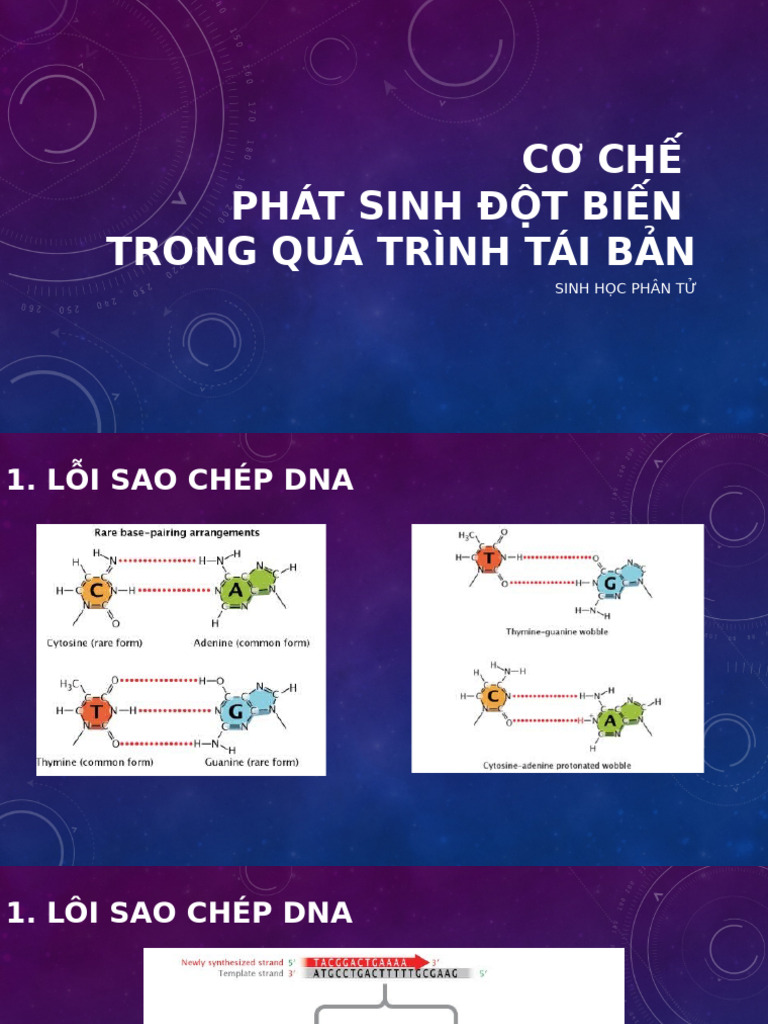 SHPT | PDF