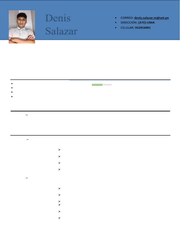 CV-Denis Salazar | PDF | Red eléctrica | Electricidad