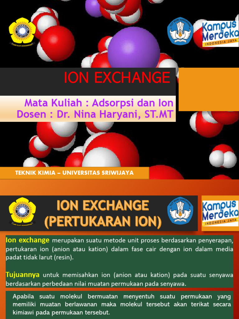 Pertemuan Ke-9 Ion Exchange | PDF