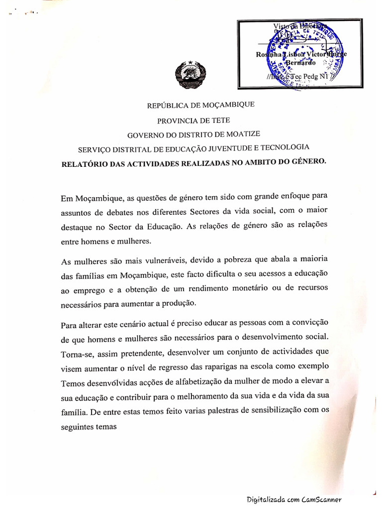 Relatorio de Activ Gênero | PDF
